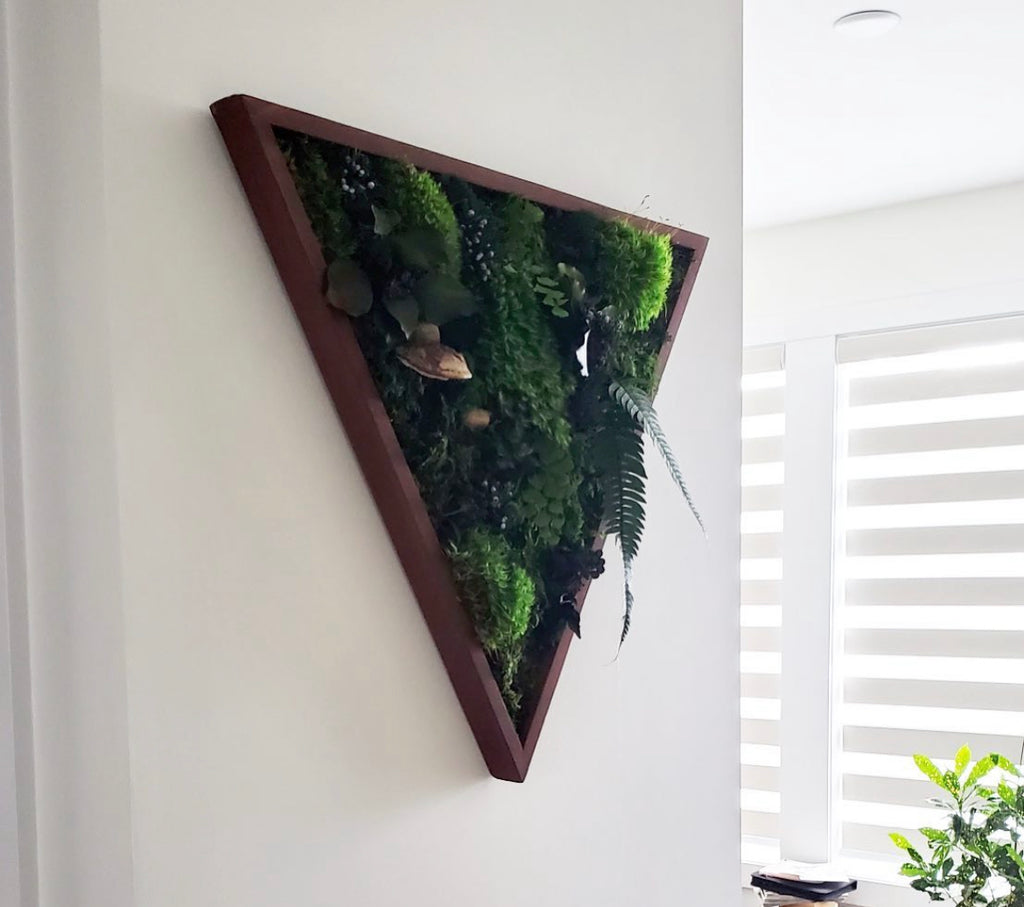 Preserved Forest Frames | The Den Ucluelet